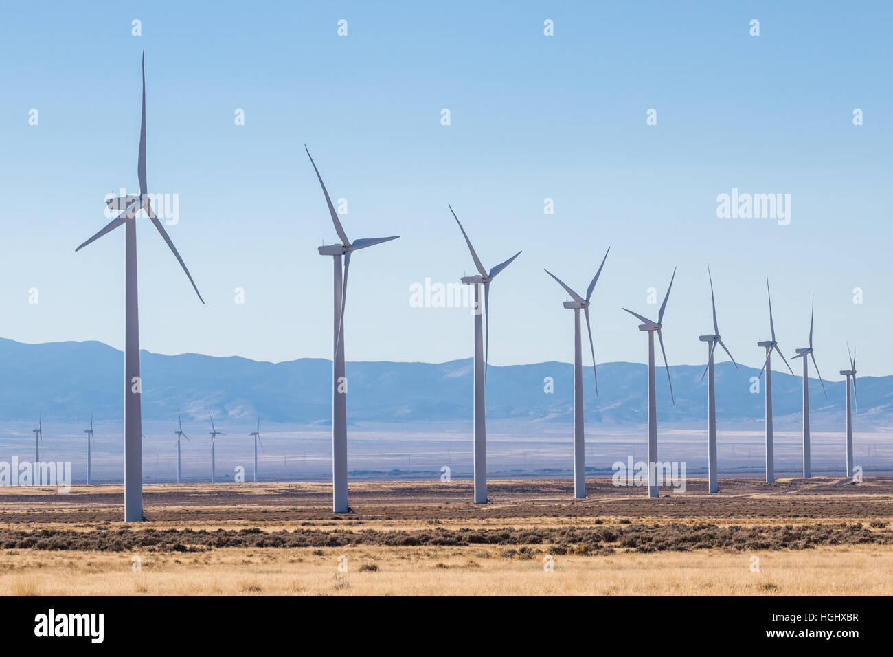 Large wind farm hi-res stock photography and images - Alamy