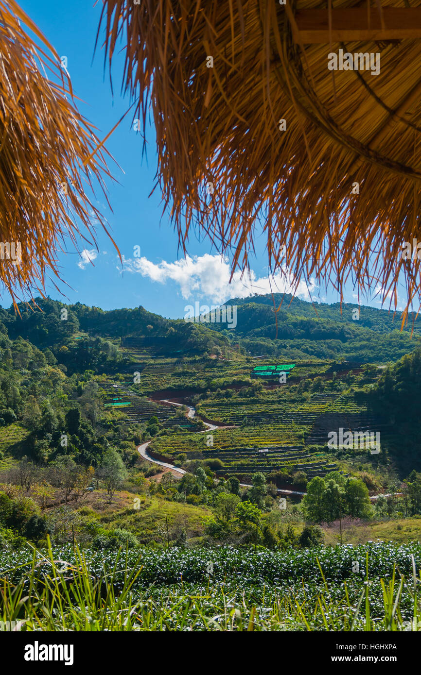 Sunrise at doi angkang , chiang mai , Thailand Stock Photo - Alamy