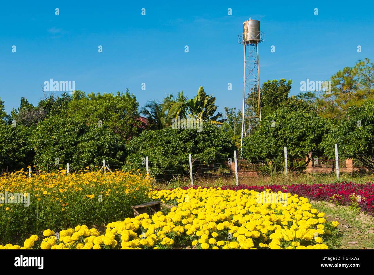 Water tank above flower hi-res stock photography and images - Alamy