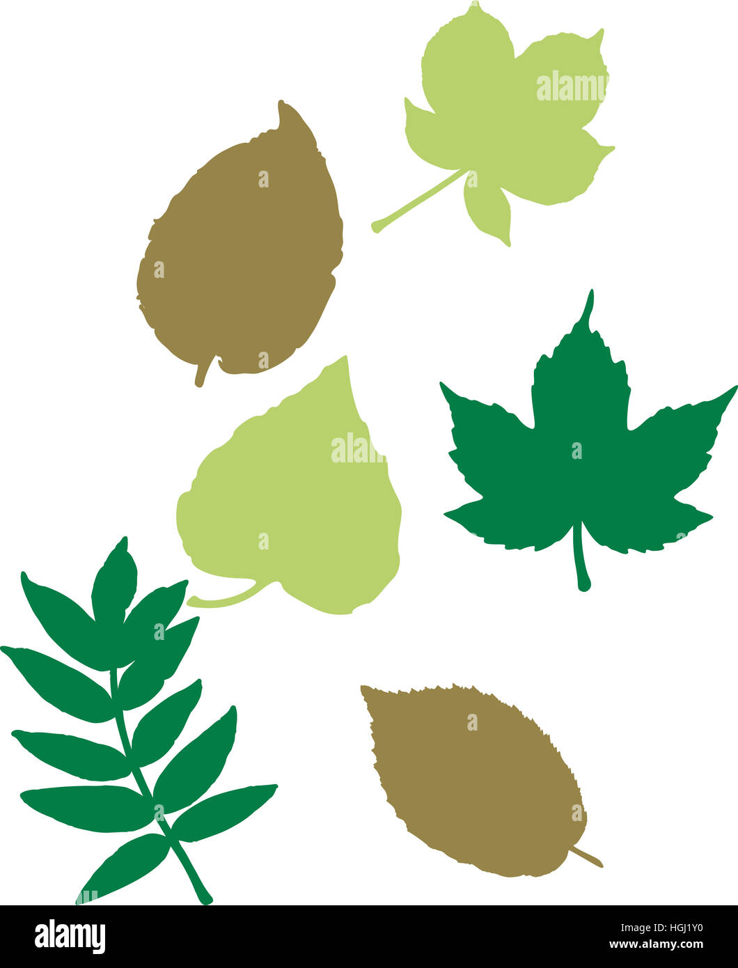 Foliage icon hi-res stock photography and images - Alamy