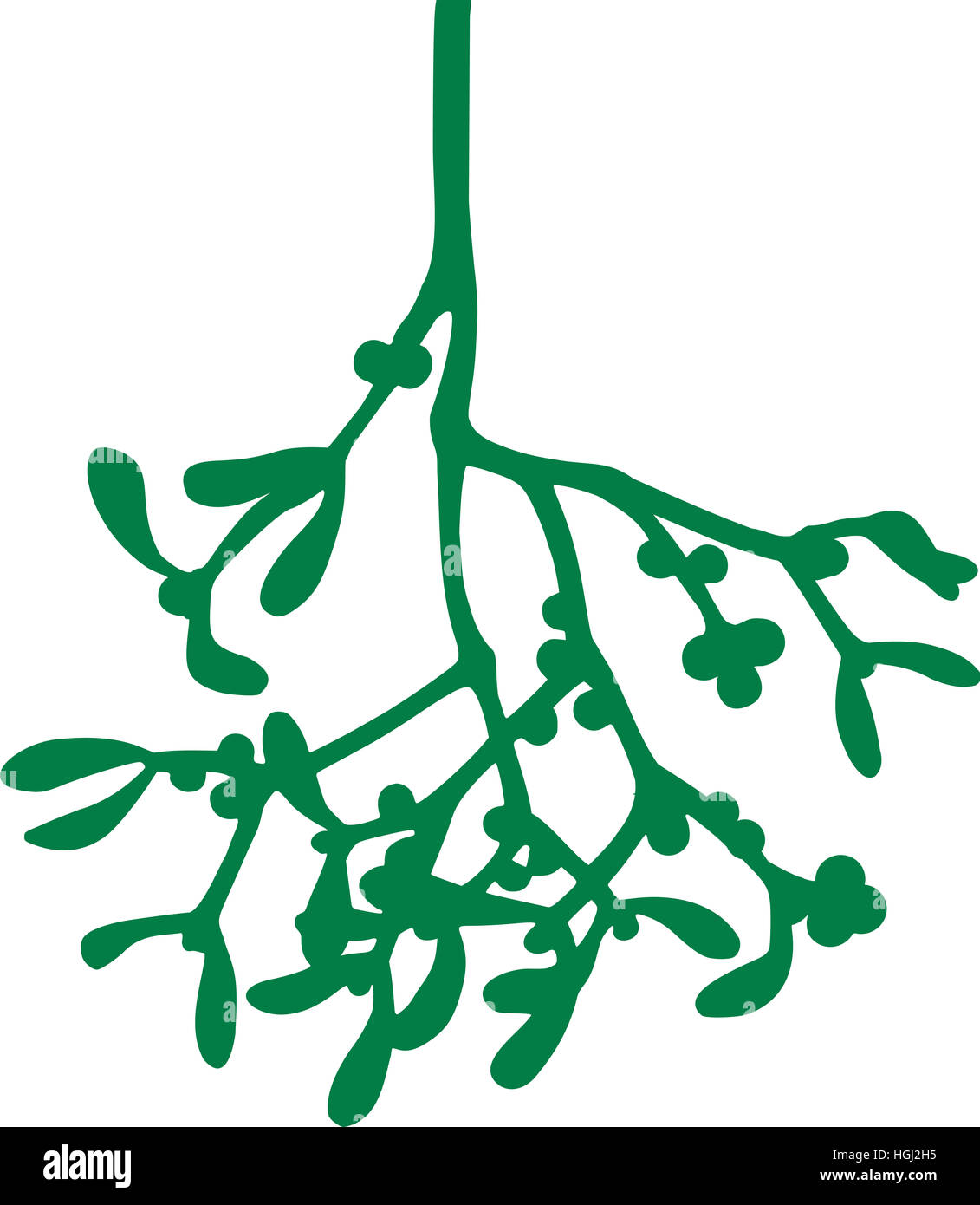 Mistletoe icon hi-res stock photography and images - Alamy