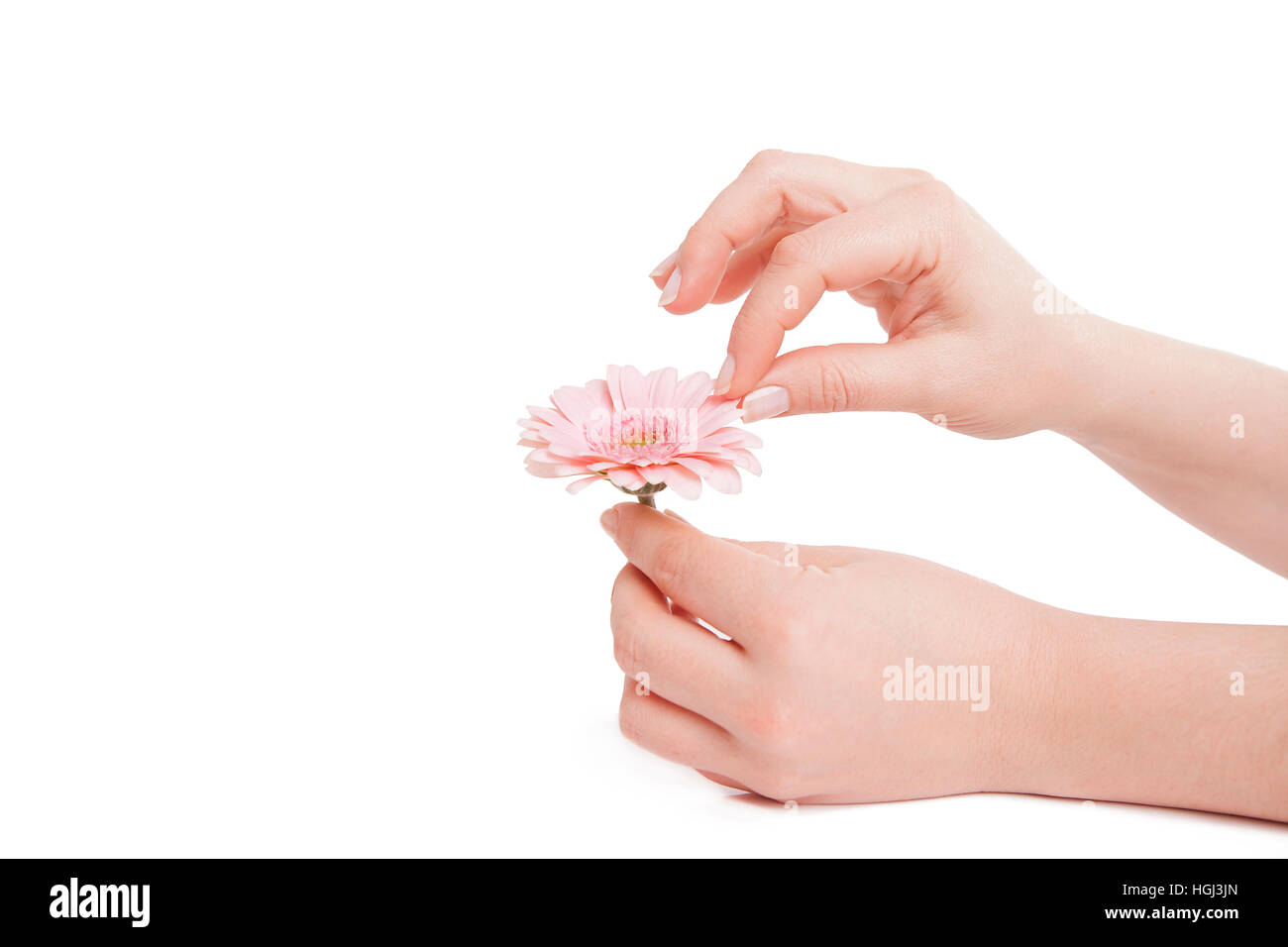 Hands and flower hi-res stock photography and images - Alamy