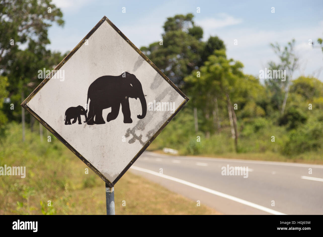Road sign in Sri Lanka. Caution, elephants crossing the road Stock ...