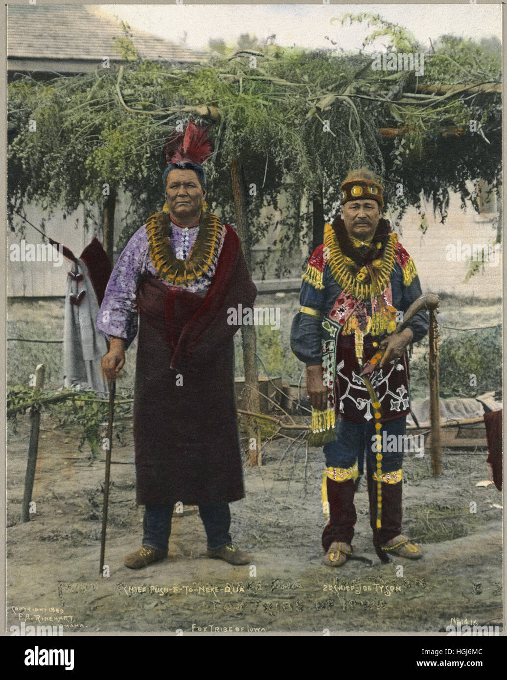 Fox tribe hi-res stock photography and images - Alamy