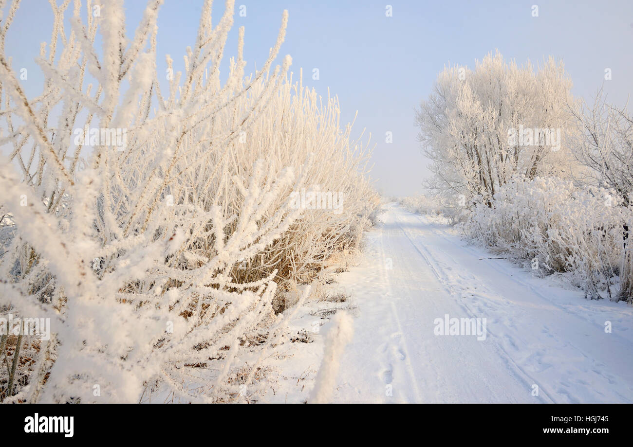 Snow frosted mountain hi-res stock photography and images - Alamy