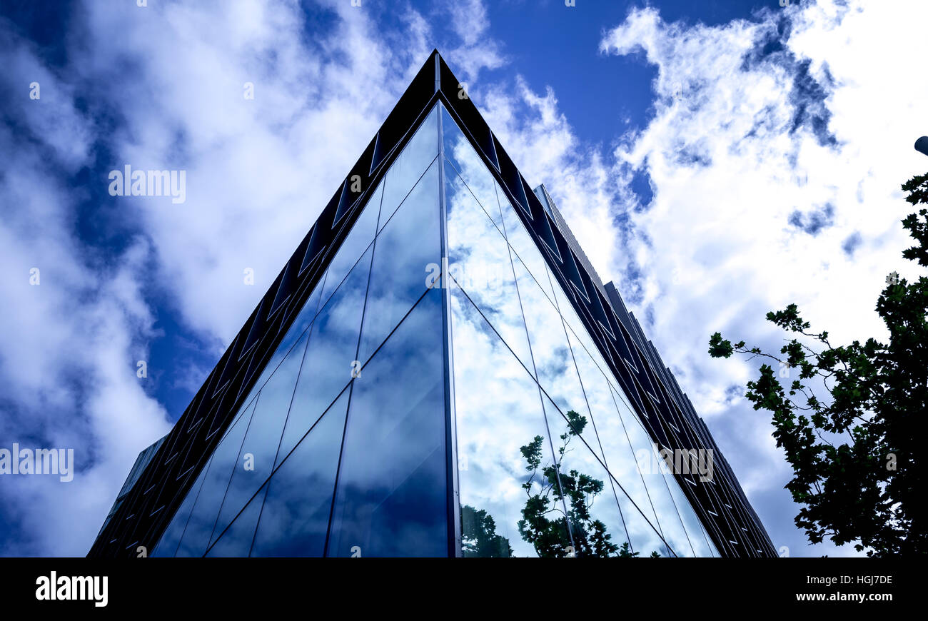 Windows of commercial building in New Zealand Stock Photo - Alamy