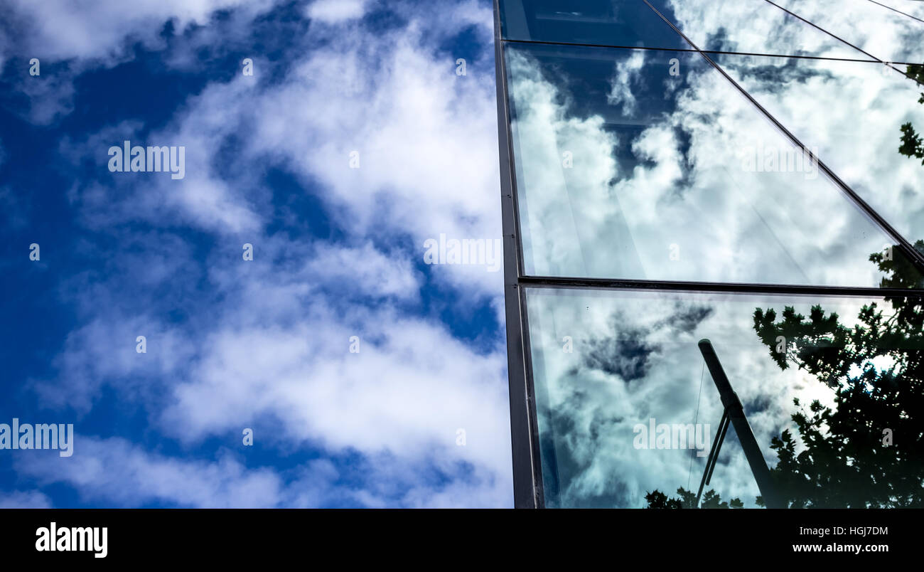 Windows of commercial building in New Zealand Stock Photo - Alamy