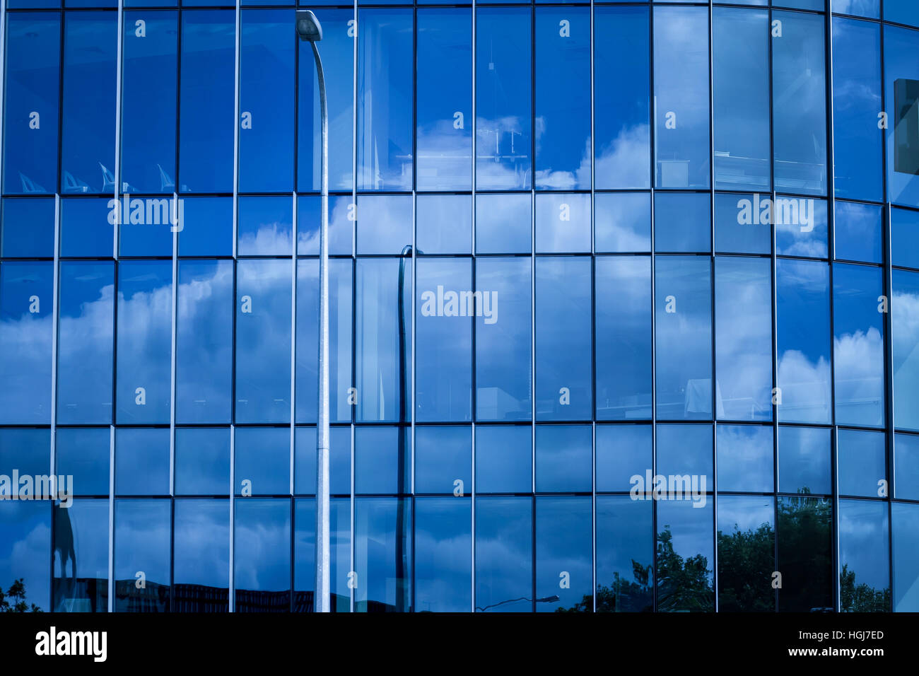 Windows of commercial building in New Zealand Stock Photo - Alamy