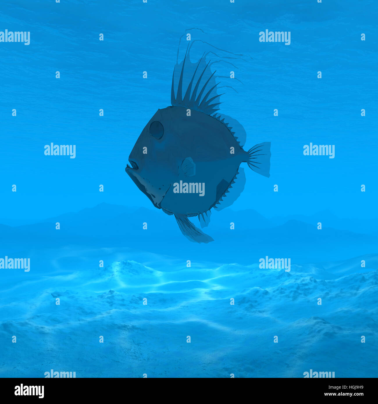 silhouette fish underwater with caustic 3d rendering Stock Photo - Alamy