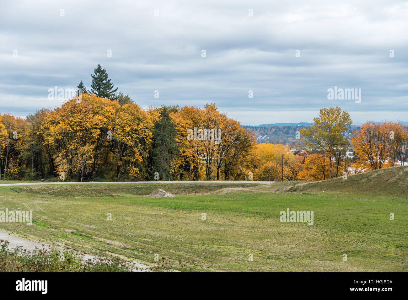 Many shades of Autumn yellow are revealed in Kent, Washington Stock ...