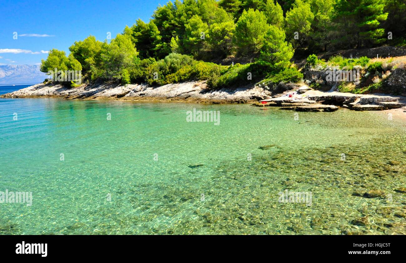 Turquoise lagoon with Mediterranean forest Stock Photo - Alamy
