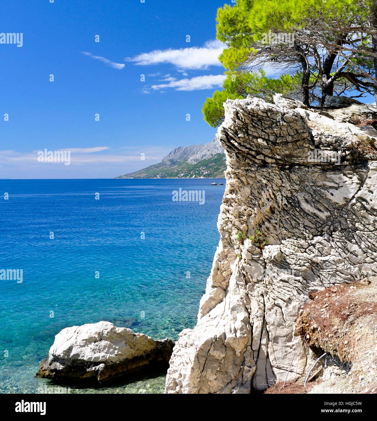 Rock coastline with one alone tree Stock Photo - Alamy