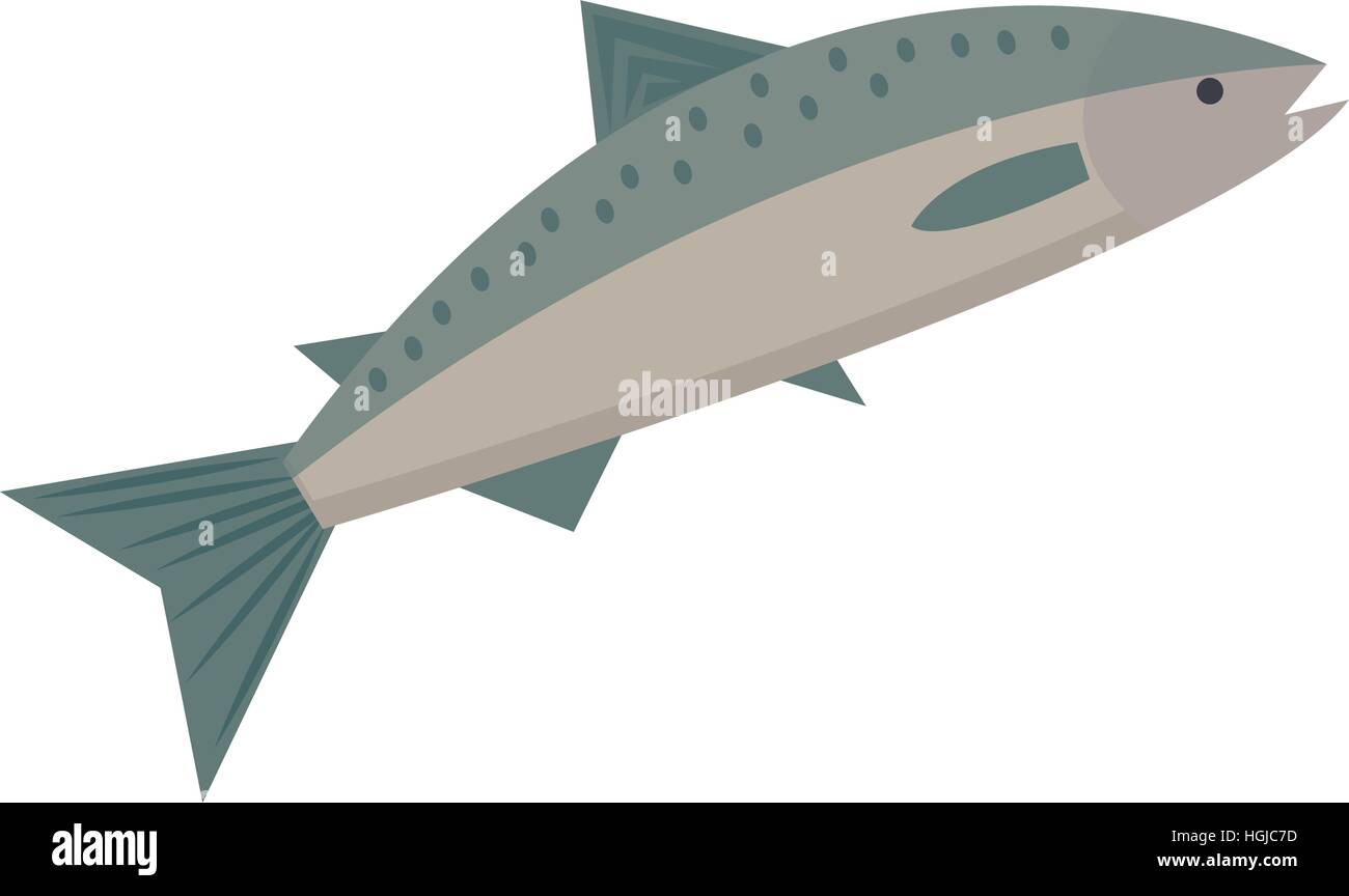 Salmon icon flat style. Saltwater fish isolated on white background ...