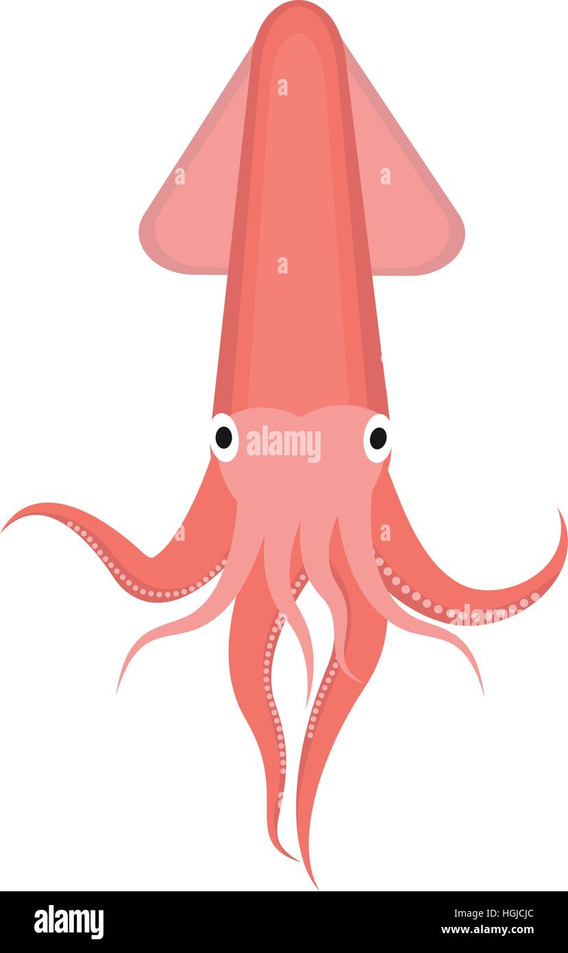 Giant Squid Vector