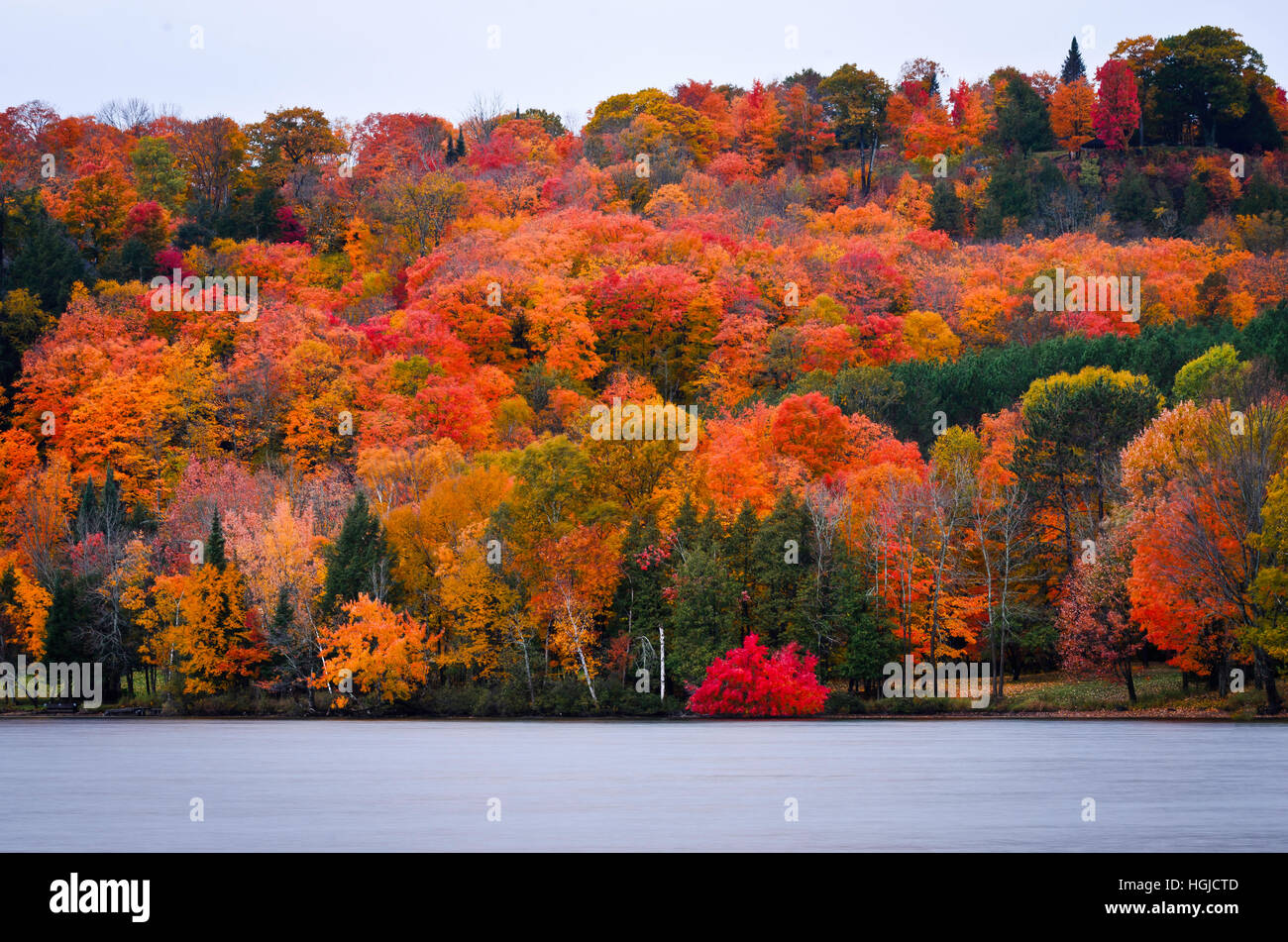 Fall colors on a forested hillside by a lake Stock Photo - Alamy