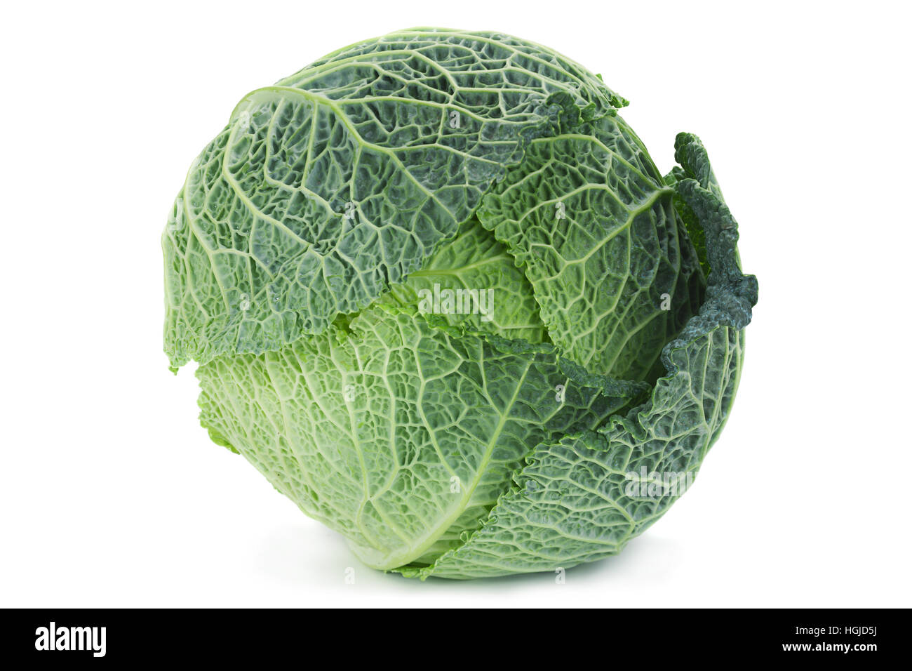 Savoy cabbage vegetable isolated on white background Stock Photo - Alamy