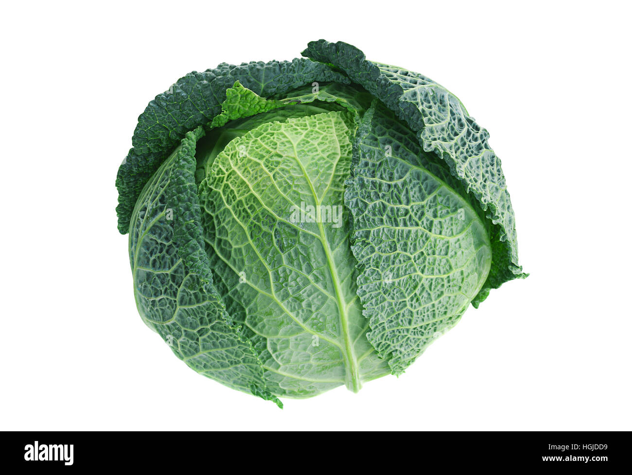 Savoy cabbage vegetable isolated on white background Stock Photo - Alamy