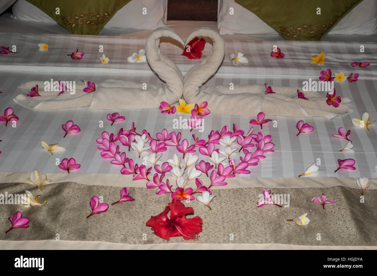 Hotel Welcome Flowers High Resolution Stock Photography and Images - Alamy