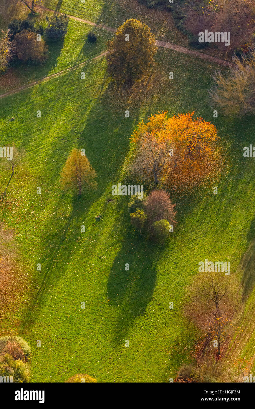 Western foliage hi-res stock photography and images - Alamy