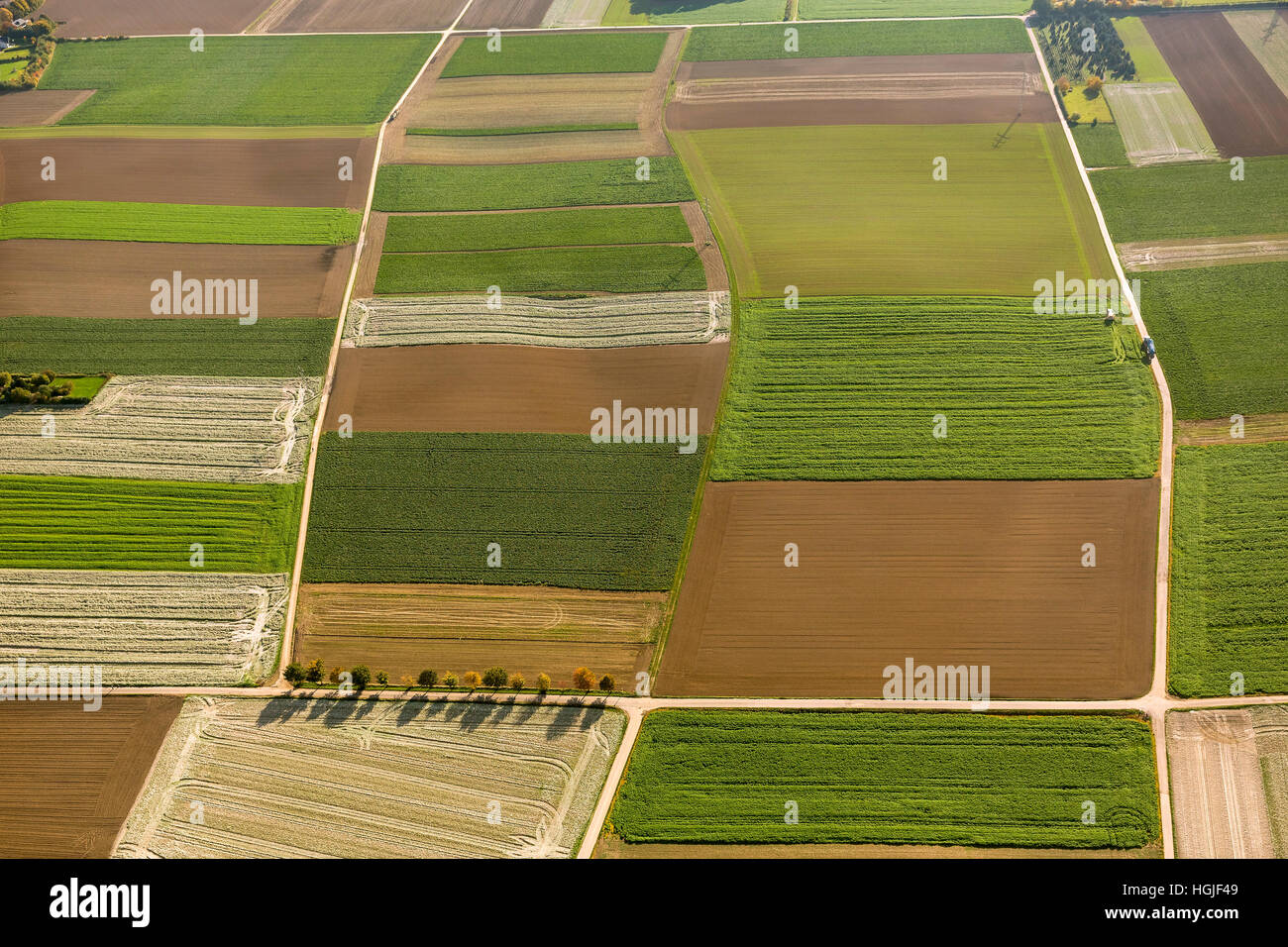 Aerial view, coal fields, agrobusiness, field patterns, Übach-Palenberg ...