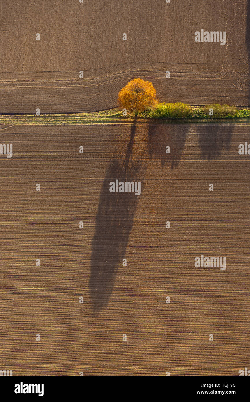 Aerial view row trees agriculture hi-res stock photography and images ...
