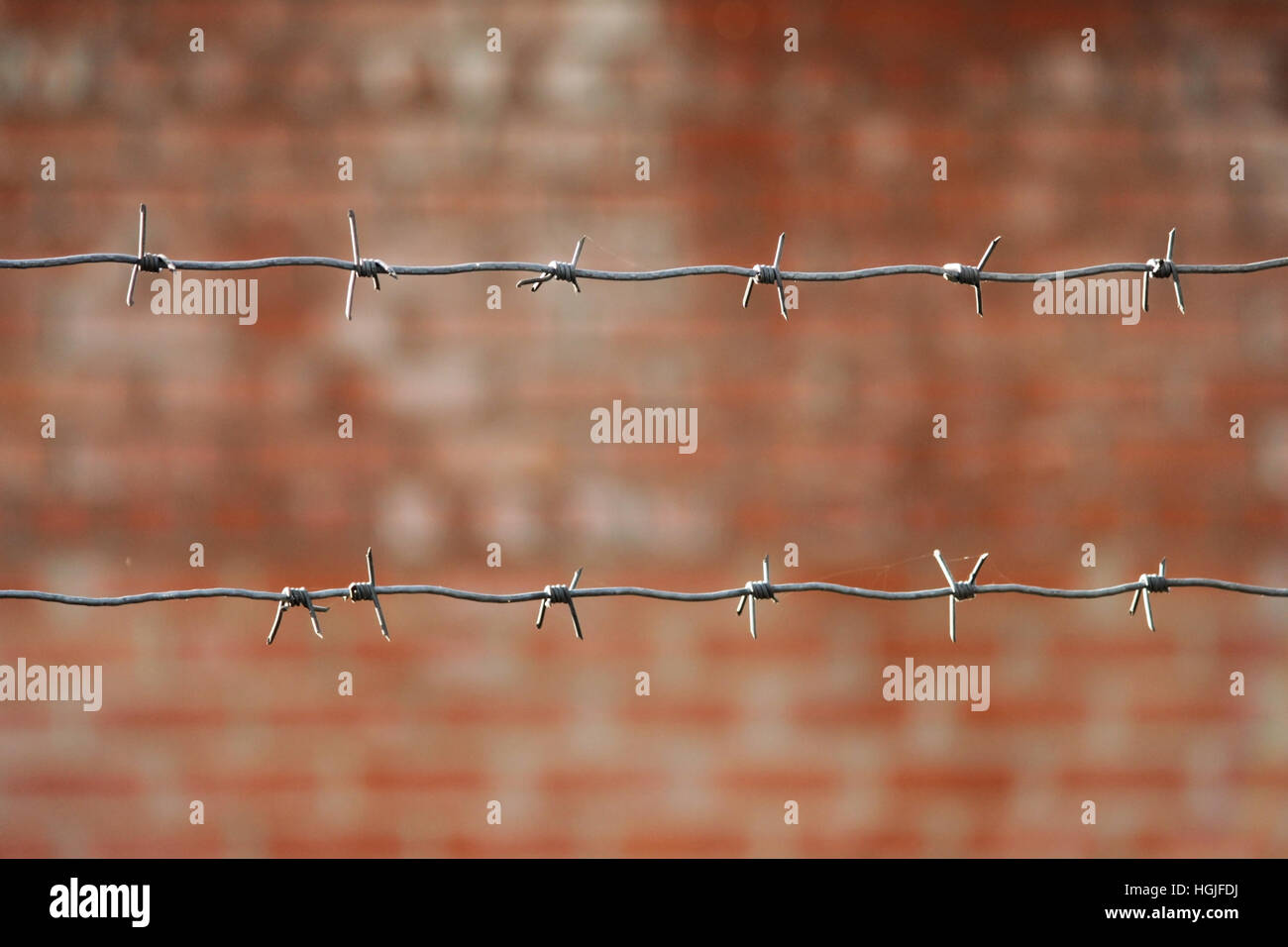 Barbed wire on a background of red brick wall Stock Photo - Alamy