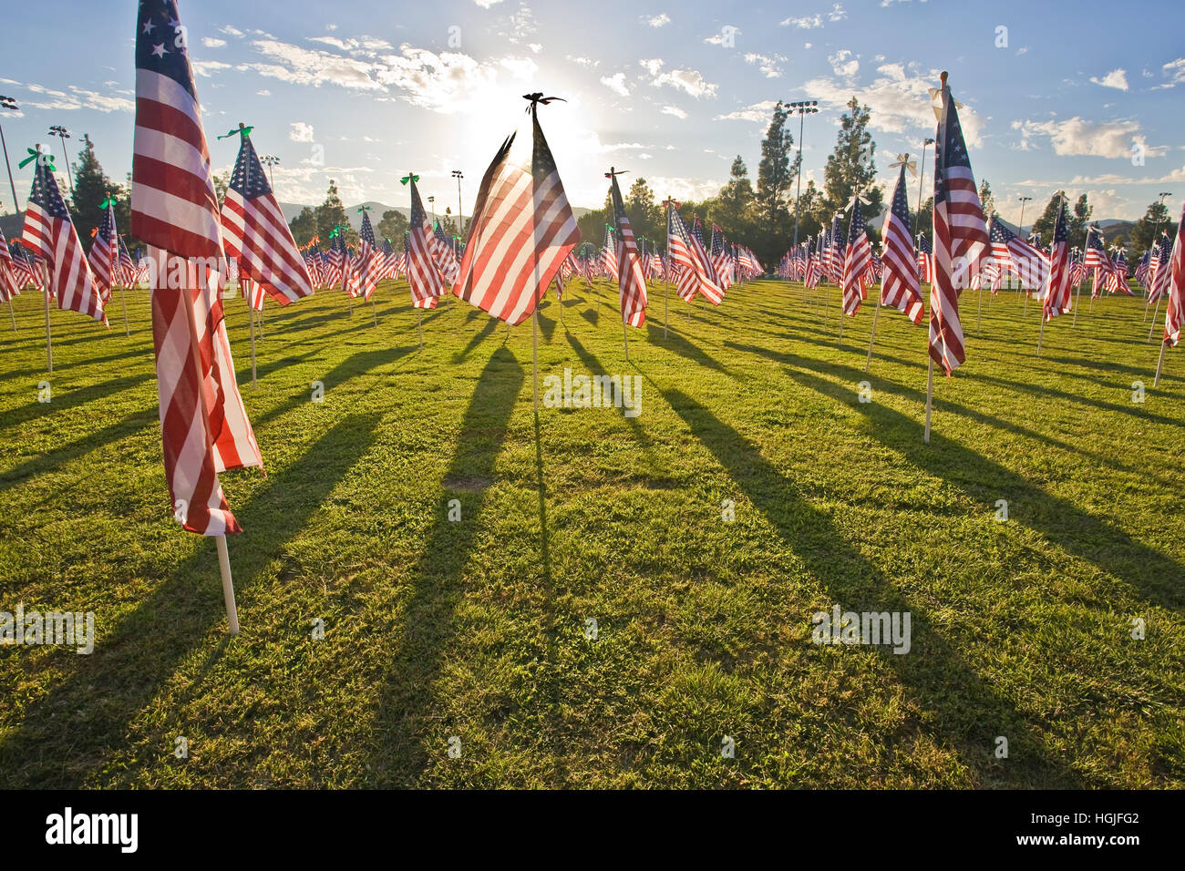 1,100 3-foot-by-5-foot American flags on 8-foot poles Stock Photo - Alamy