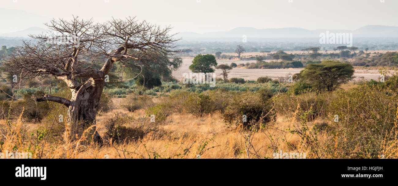 Ruaha national park hi-res stock photography and images - Alamy