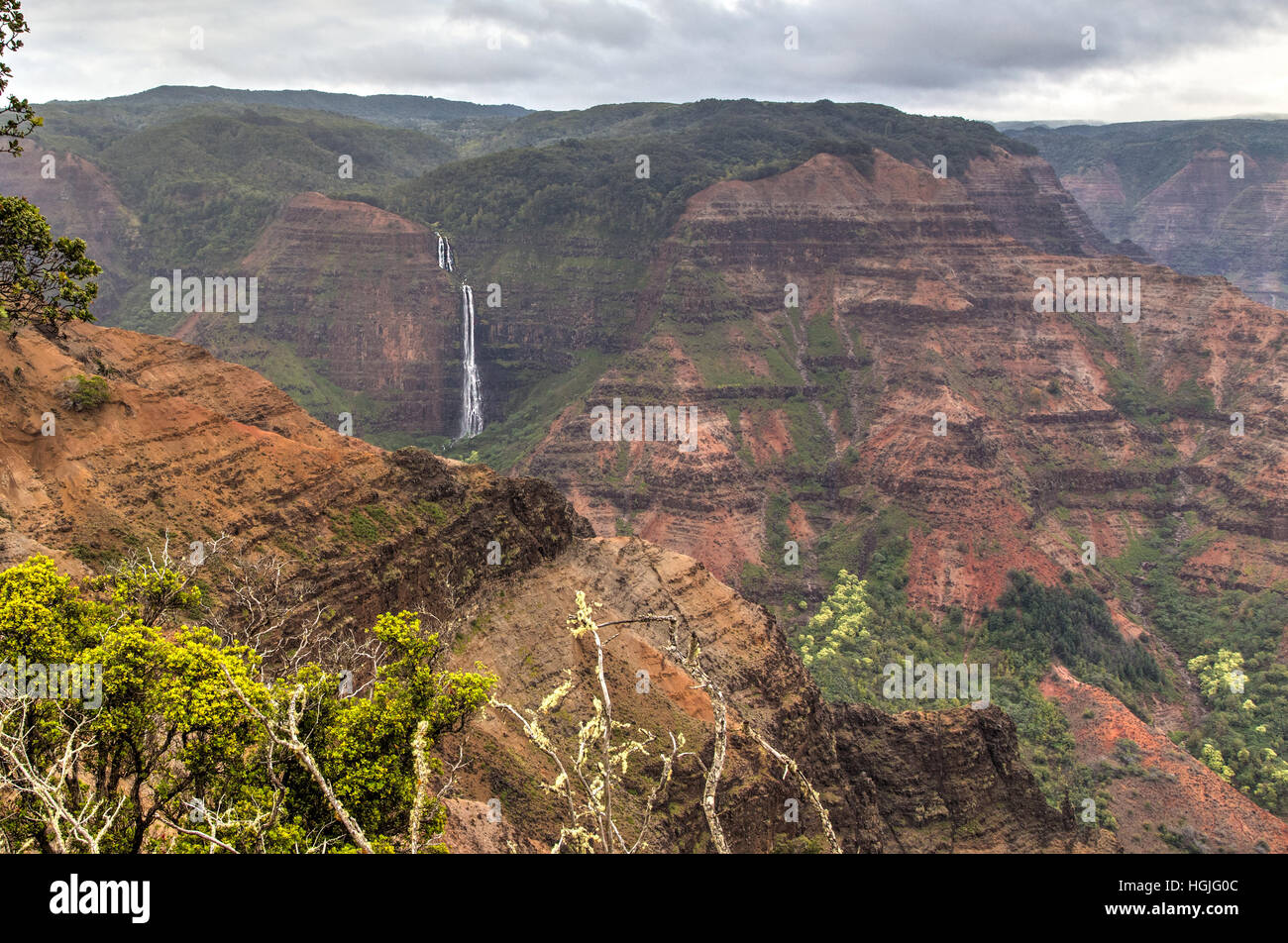 Ravine Hawaii High Resolution Stock Photography and Images - Alamy
