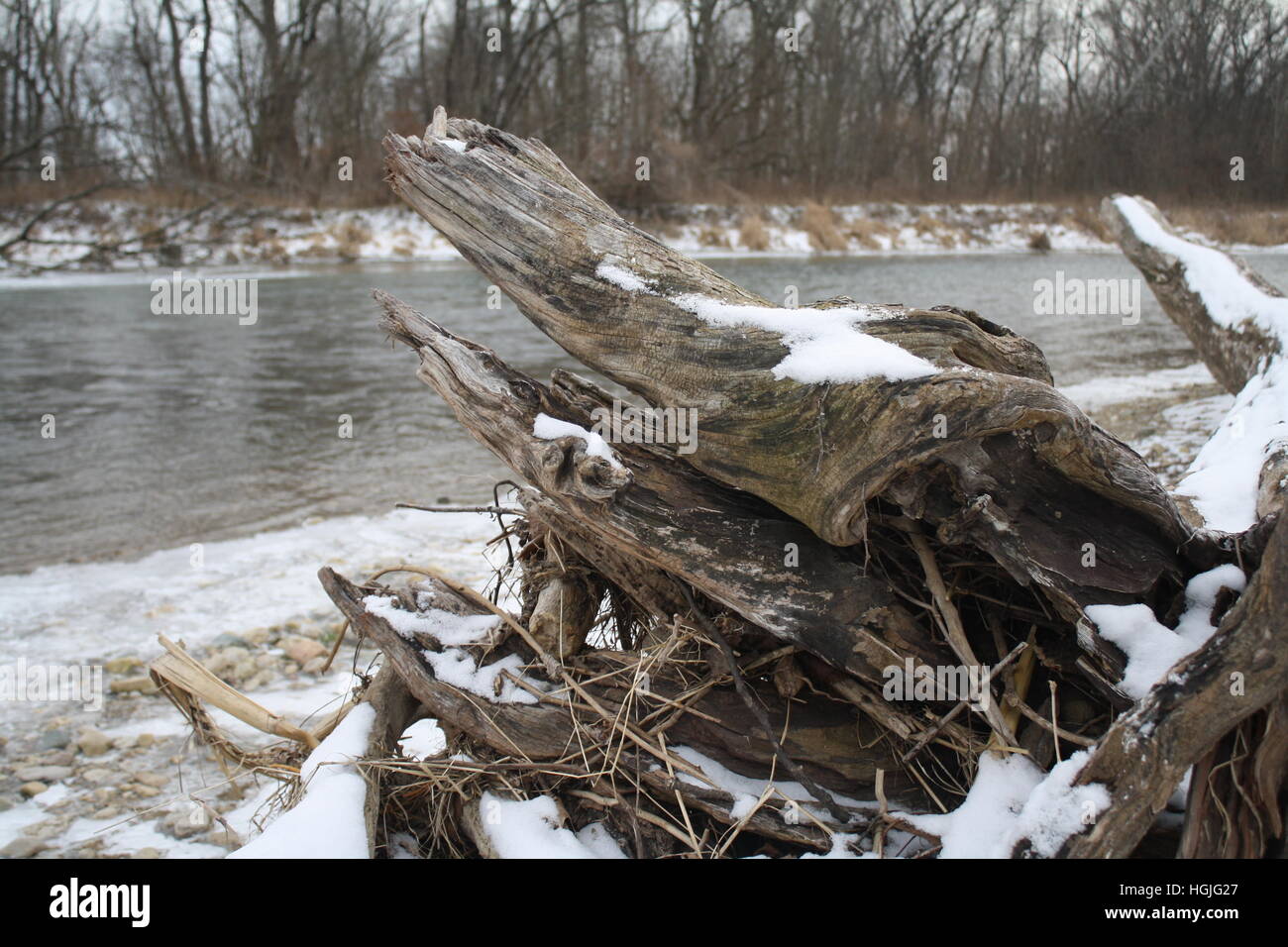 Washed Up Tree Trunk Stock Photo - Alamy