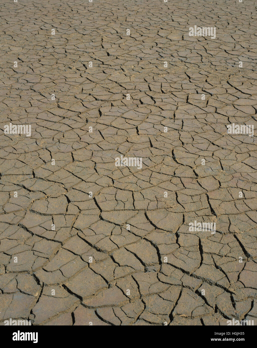 Ground fissures hi-res stock photography and images - Alamy