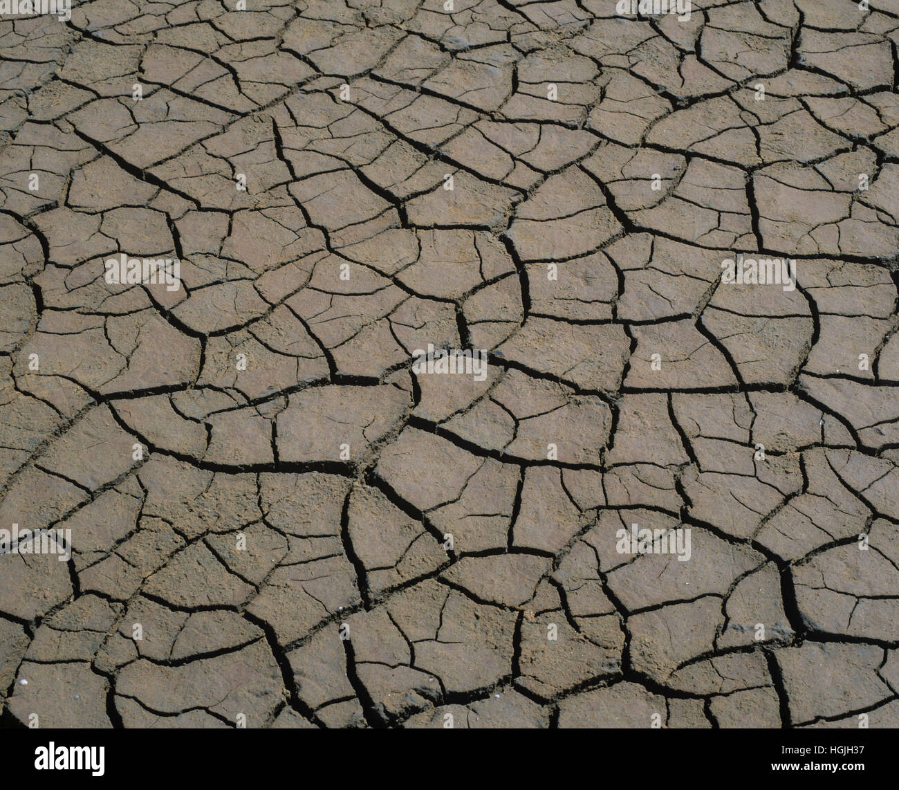 Ground fissures hi-res stock photography and images - Alamy