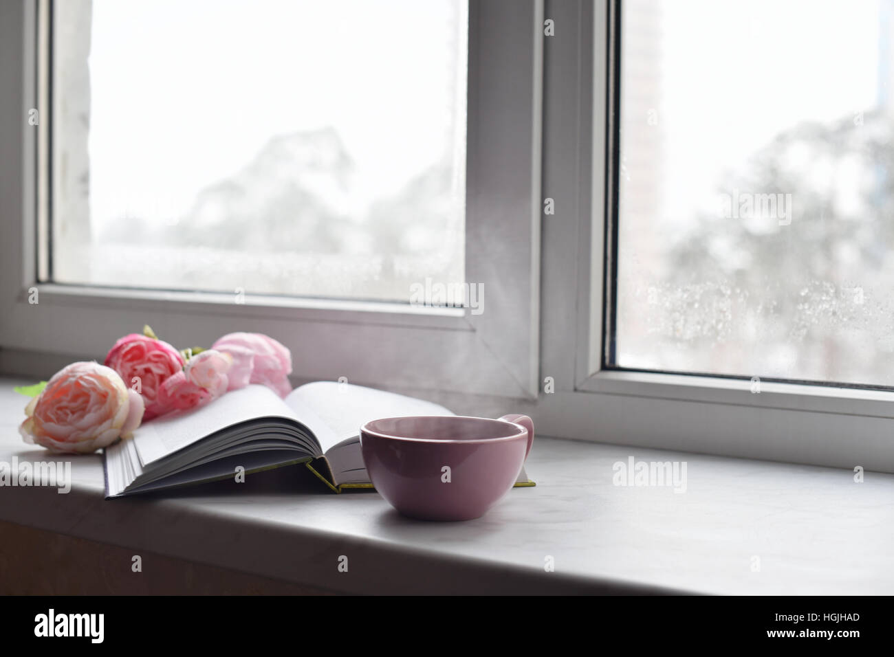 Book window sill landscape hi-res stock photography and images - Alamy