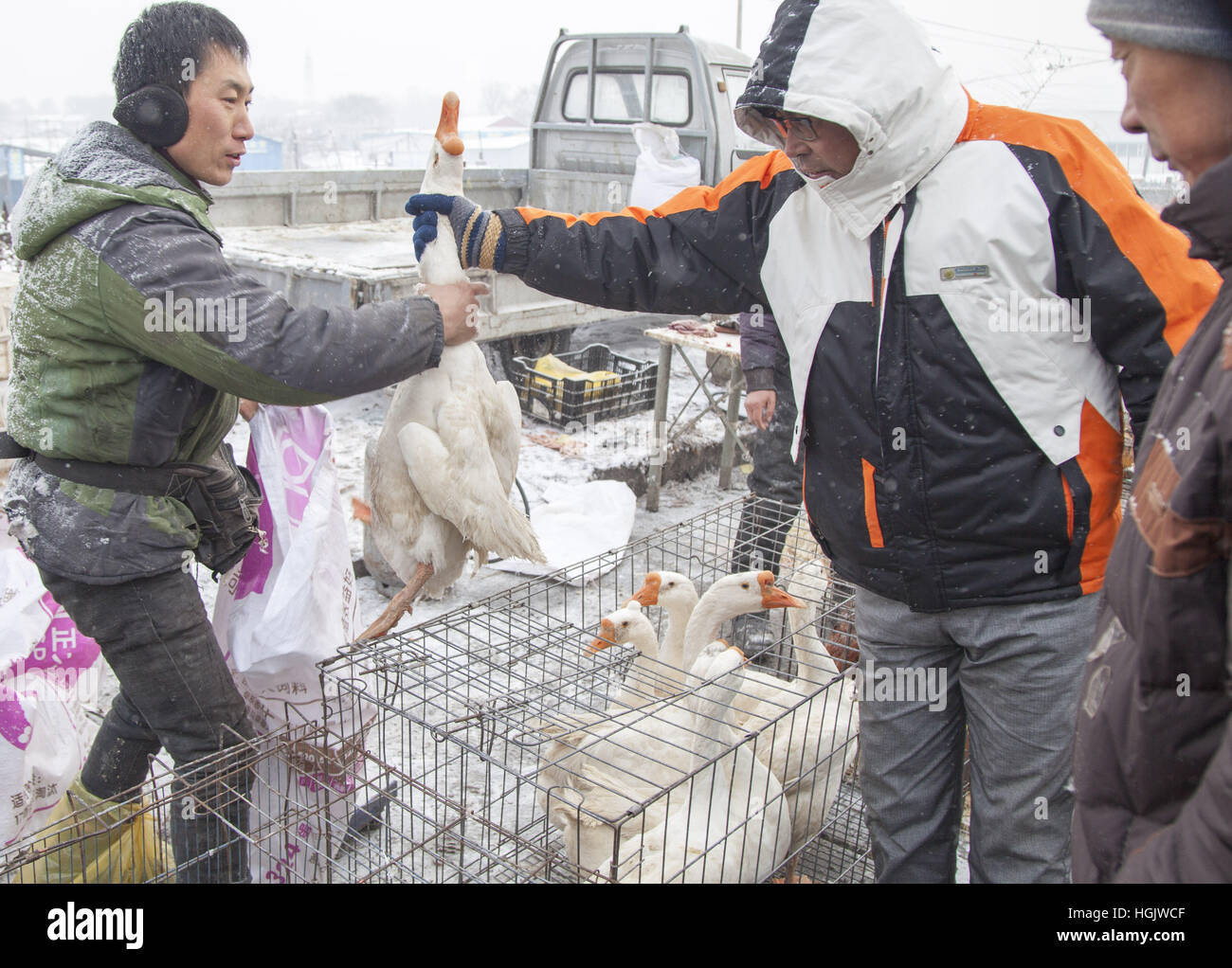 Jilin, China. 22nd Jan, 2017. **EDITORIAL USE ONLY. CHINA OUT** People ...