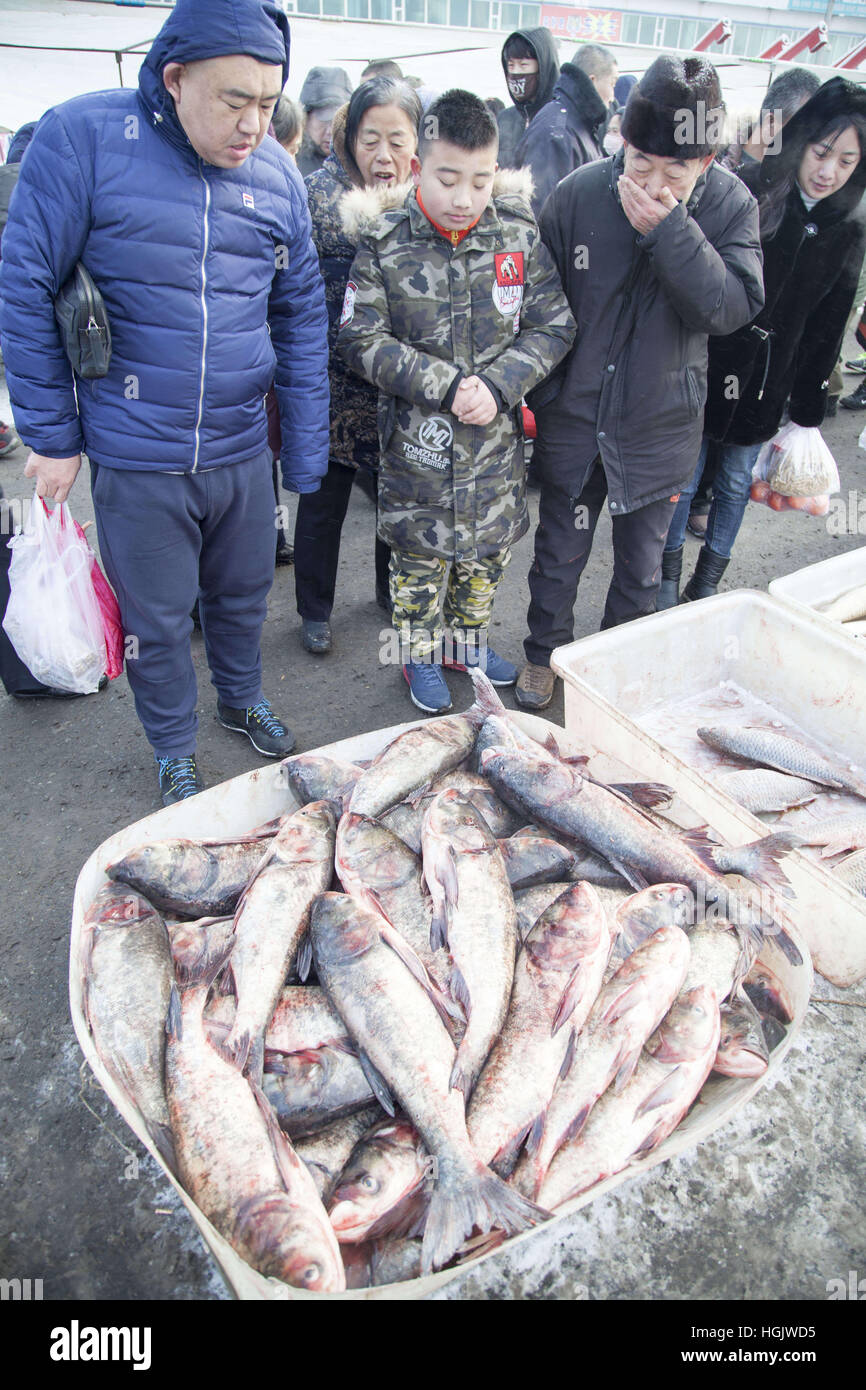 Jilin, China. 22nd Jan, 2017. **EDITORIAL USE ONLY. CHINA OUT** People ...