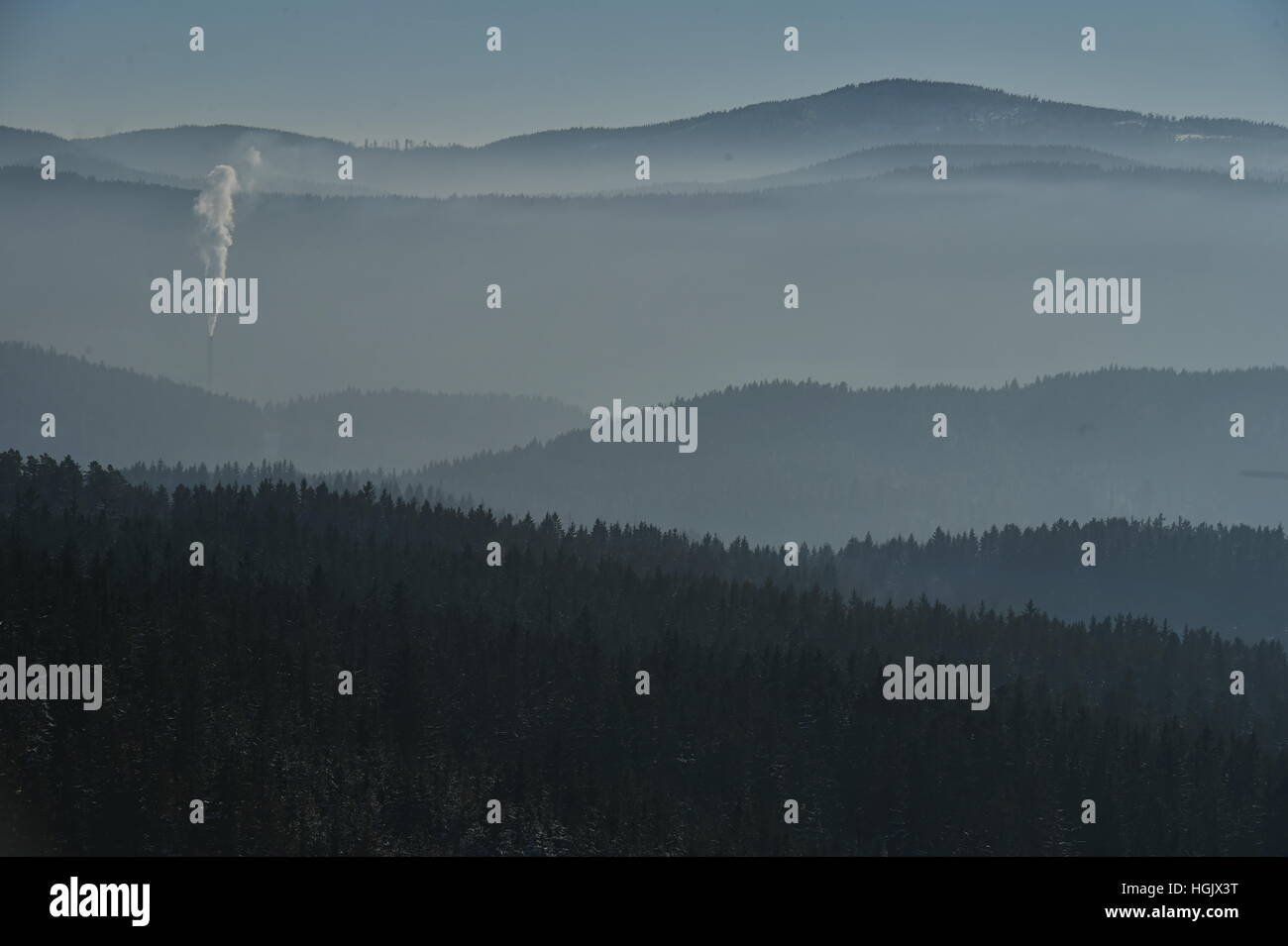 Lipno treetop walkway hi-res stock photography and images - Alamy