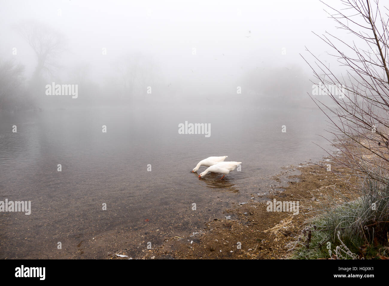 Freezing foggy river scene hi-res stock photography and images - Alamy