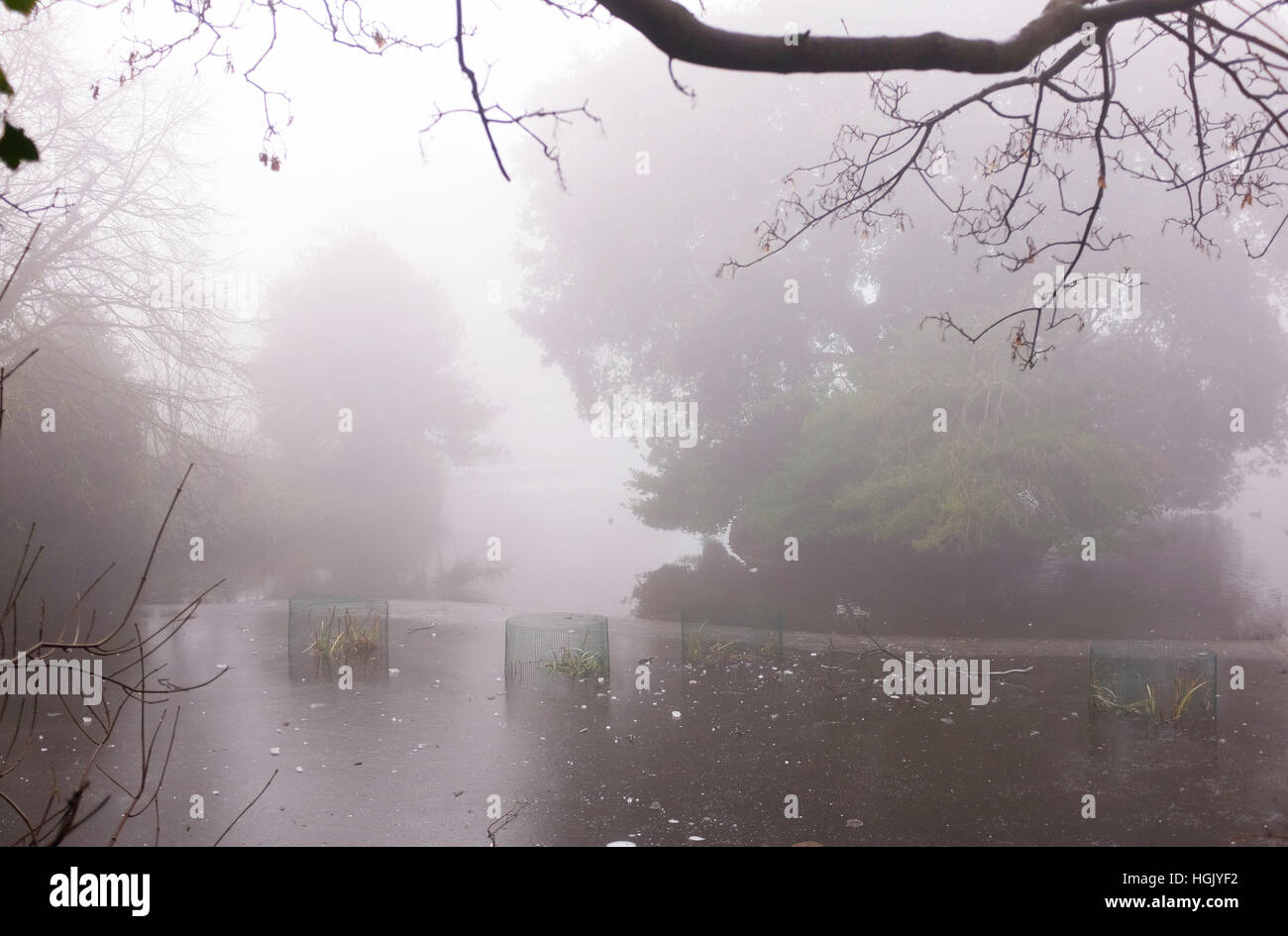 Thick morning fog covers hi-res stock photography and images - Alamy