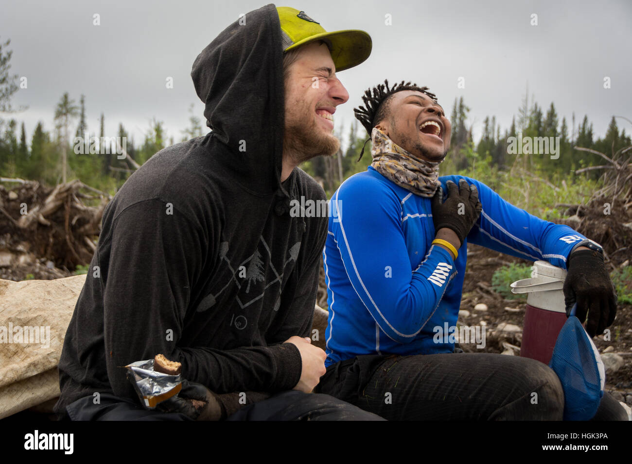 Friends laughing while taking a break from tree planting Stock Photo ...