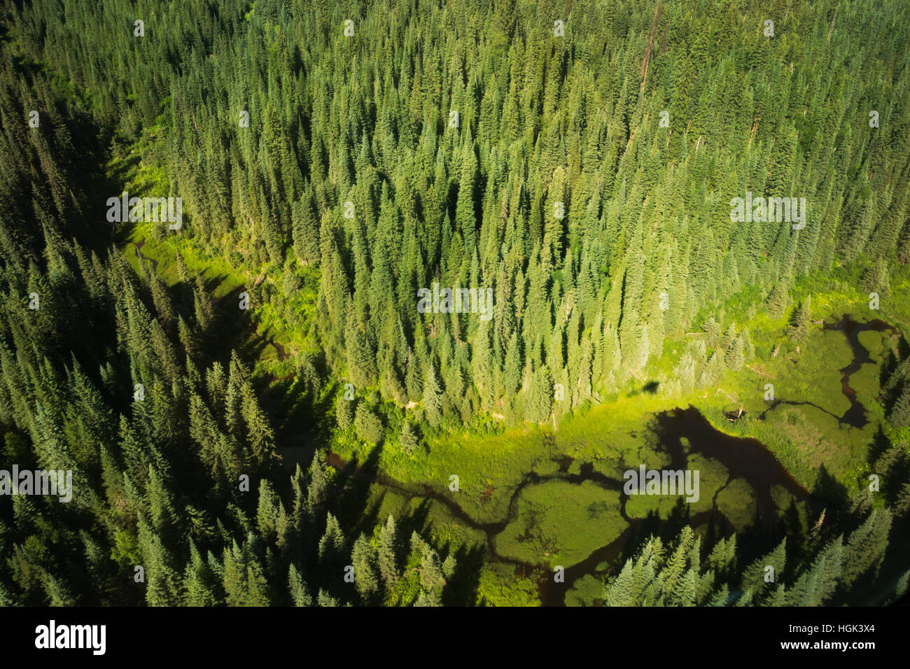 Prince george bc british columbia hi-res stock photography and images ...