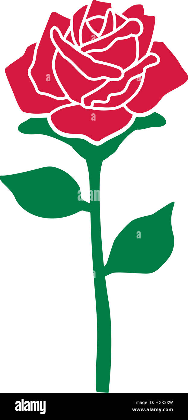 Single stem flower hi-res stock photography and images - Alamy