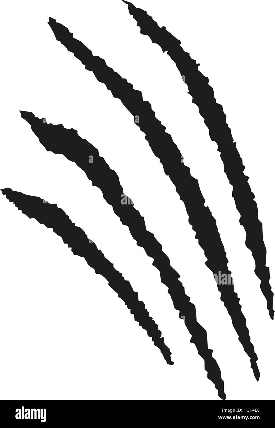 Claws scratching animal Stock Photo - Alamy