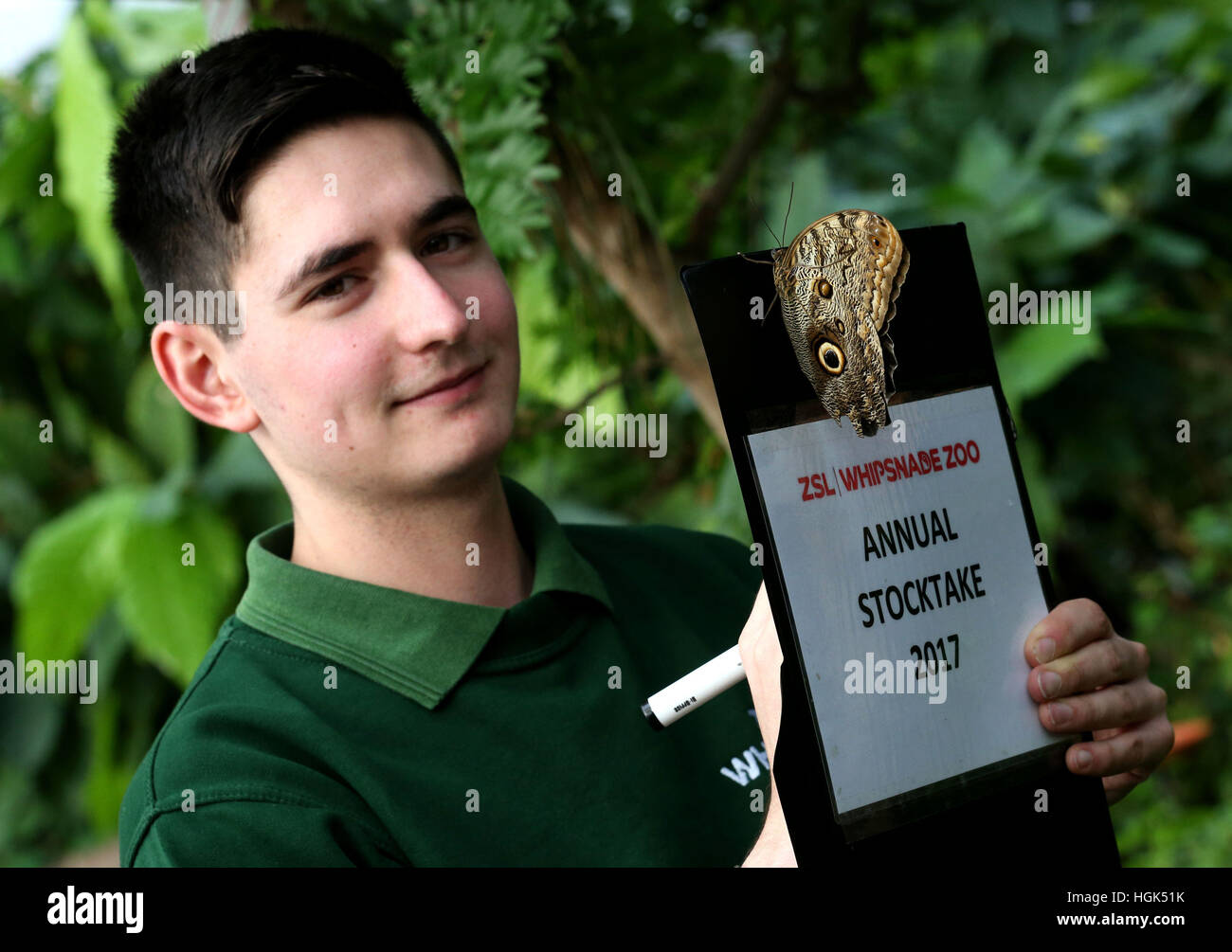 Zookeeper Thomas Maunders with a giant Owl Butterfly during the annual ...
