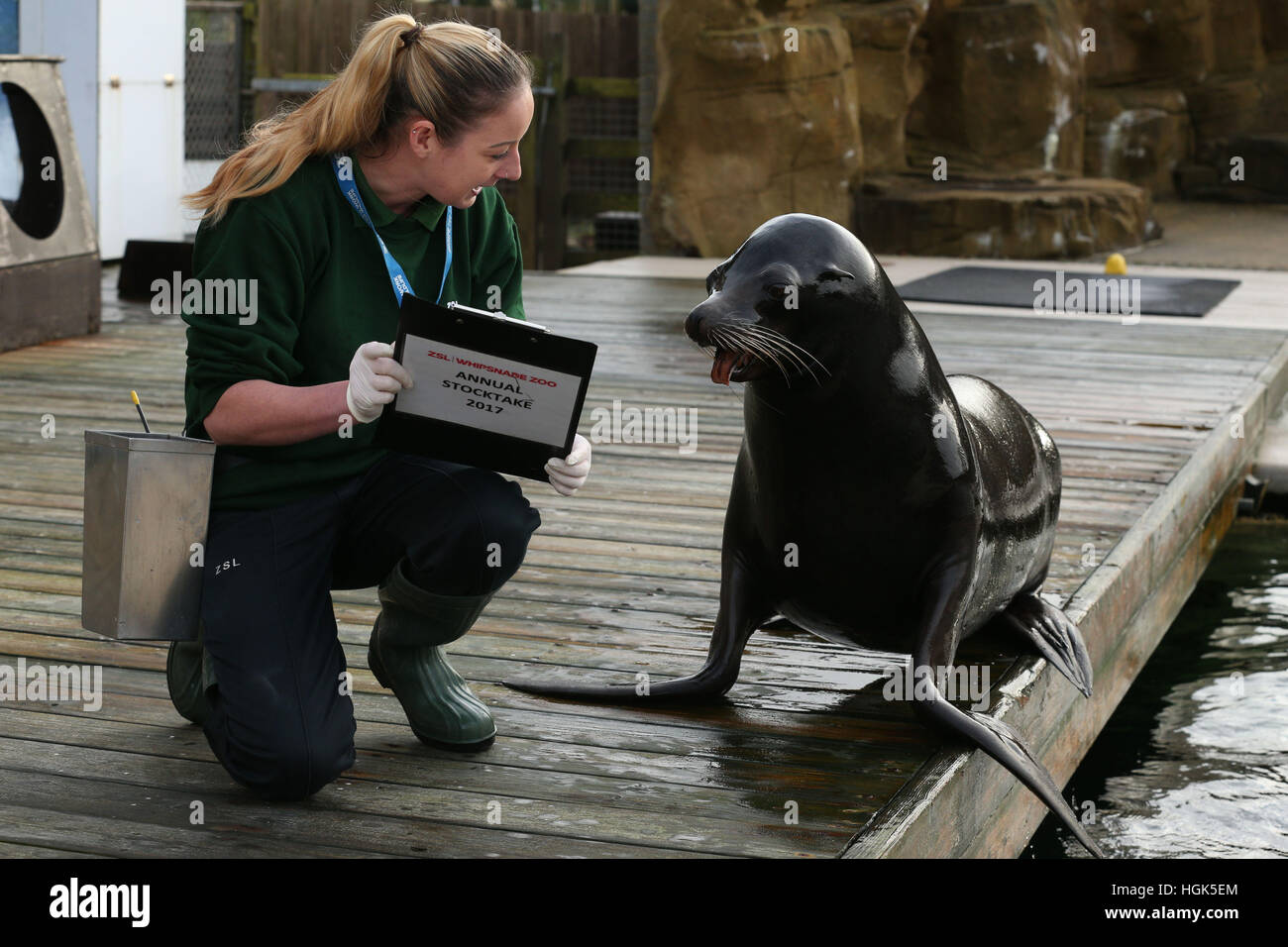 Zookeeper Alex Pinnell interacts with a Sea Lion during the annual ...