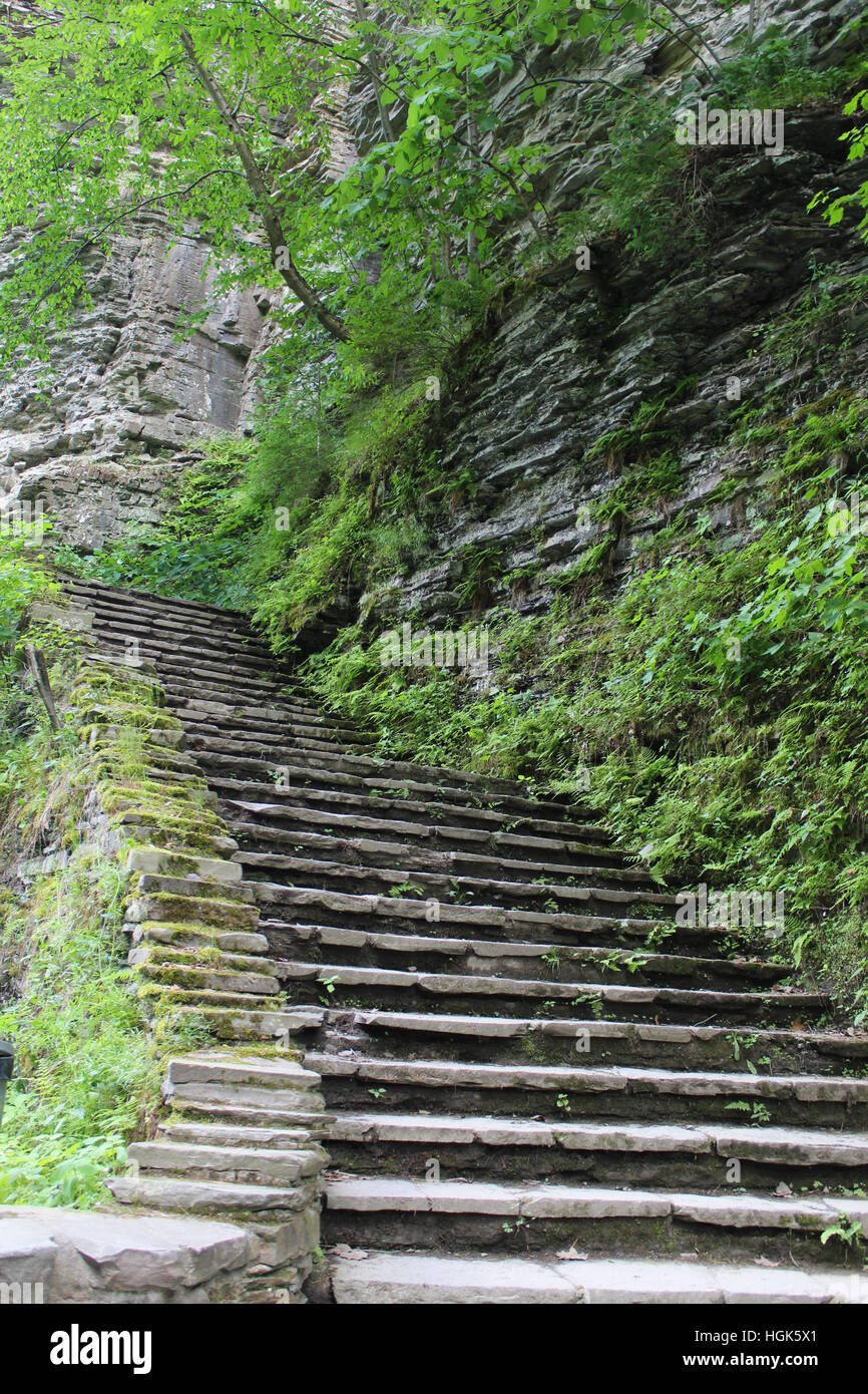 staircase in middle of hiking trail Stock Photo - Alamy