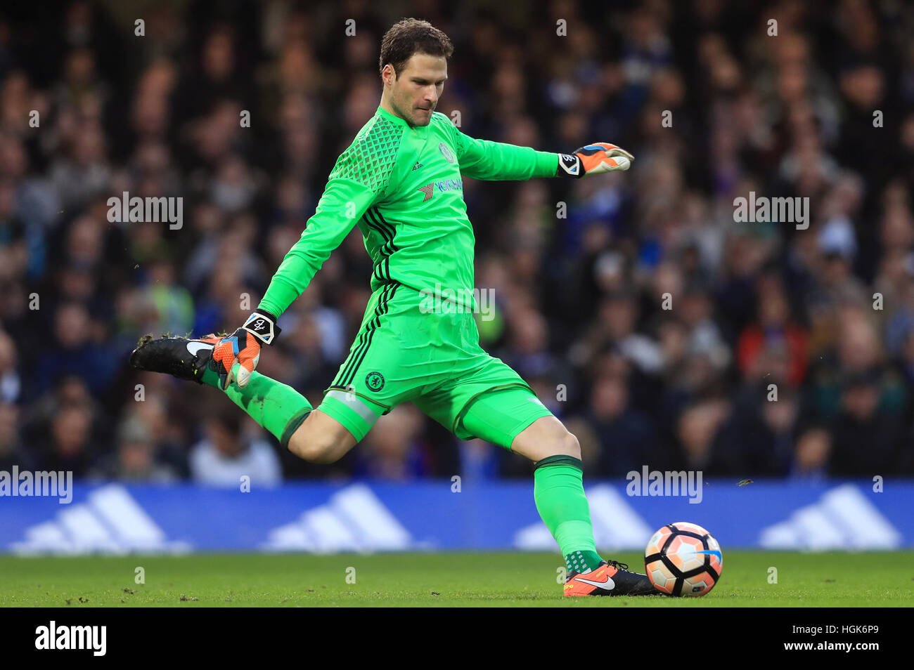 Chelsea goalkeeper asmir begovic hi-res stock photography and images ...