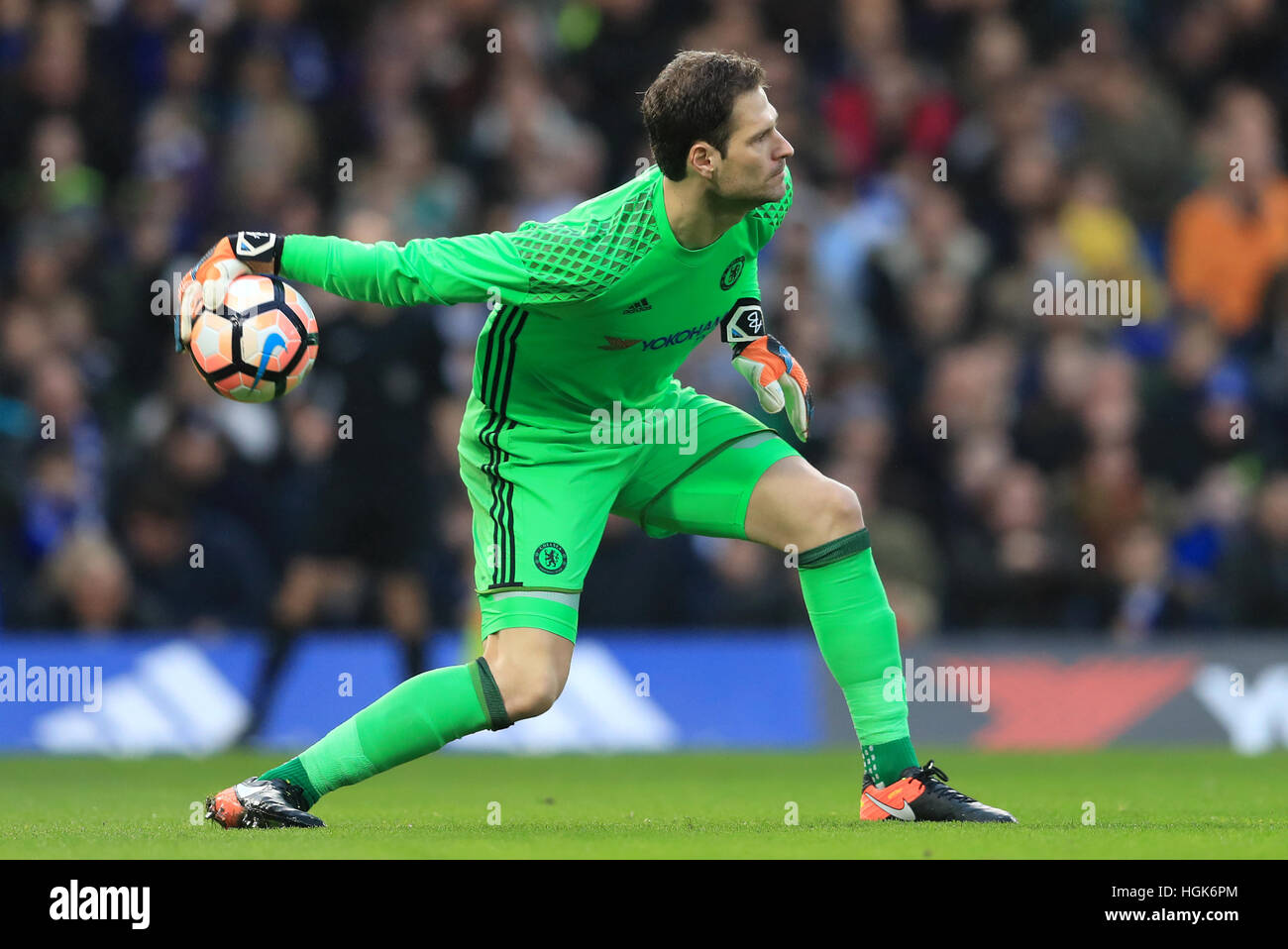 Chelsea goalkeeper Asmir Begovic Stock Photo - Alamy