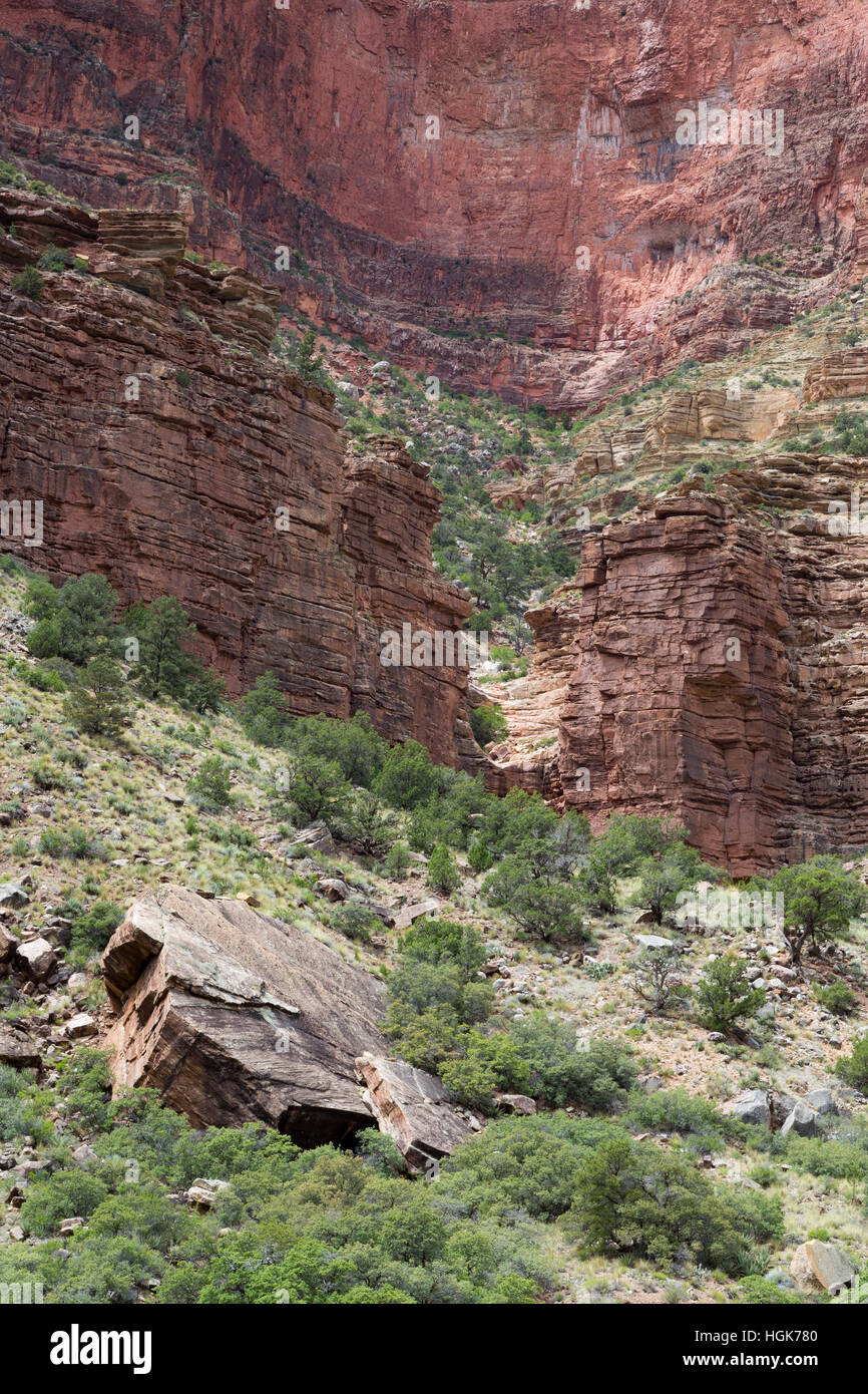A boulder from a nearby wall of Bright Angel Shale rests on a steep ...