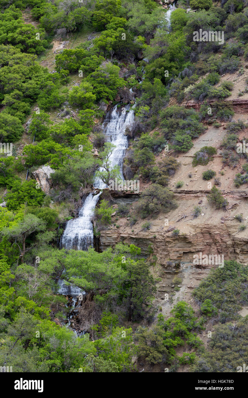 Roaring Springs cascading over the Muav Limestone in the Grand Canyon ...