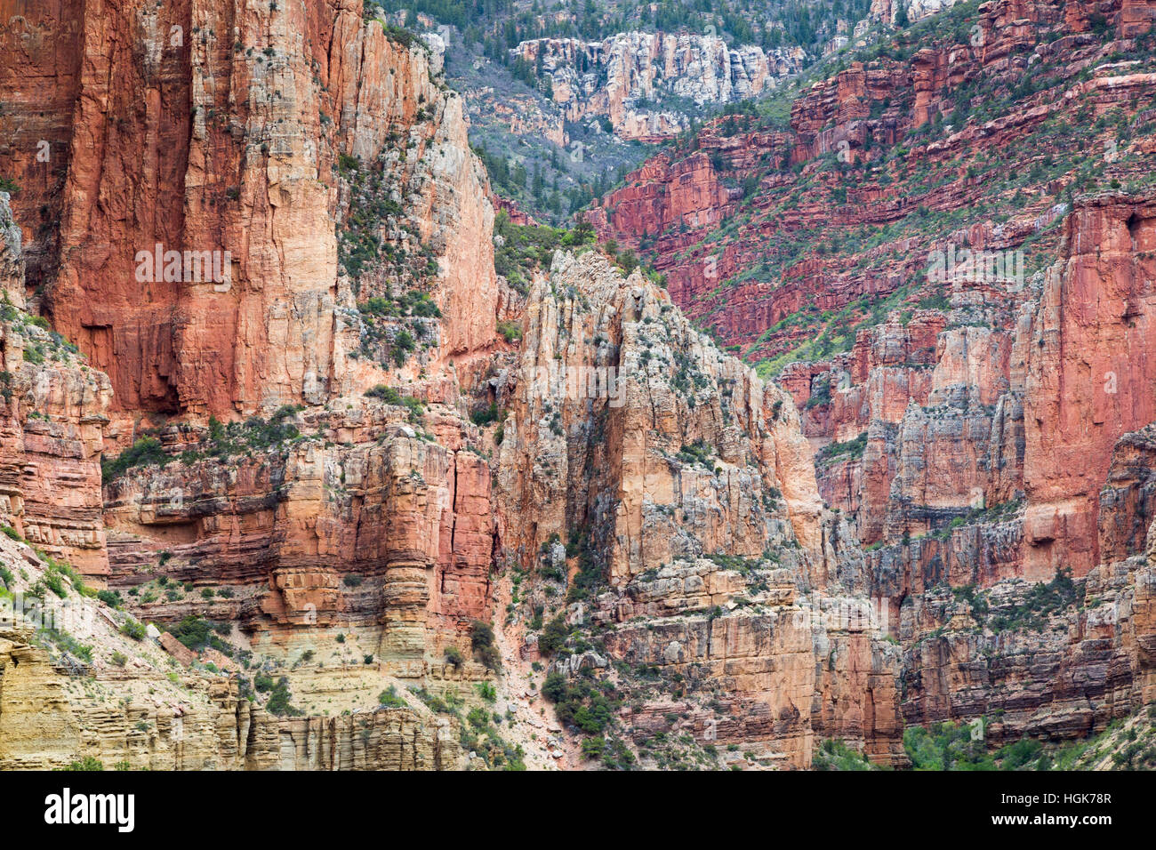 The Supai Group on top of the Redwall Limestone formation and the Muav ...